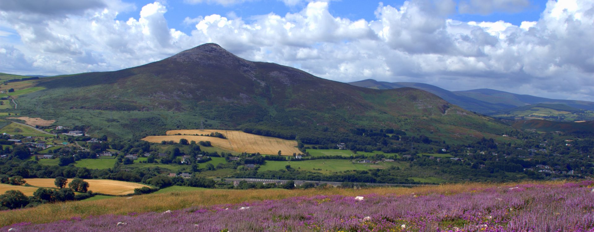 Guided Walk on the Sugar Loaf Way for Heritage Week - Wicklow Uplands