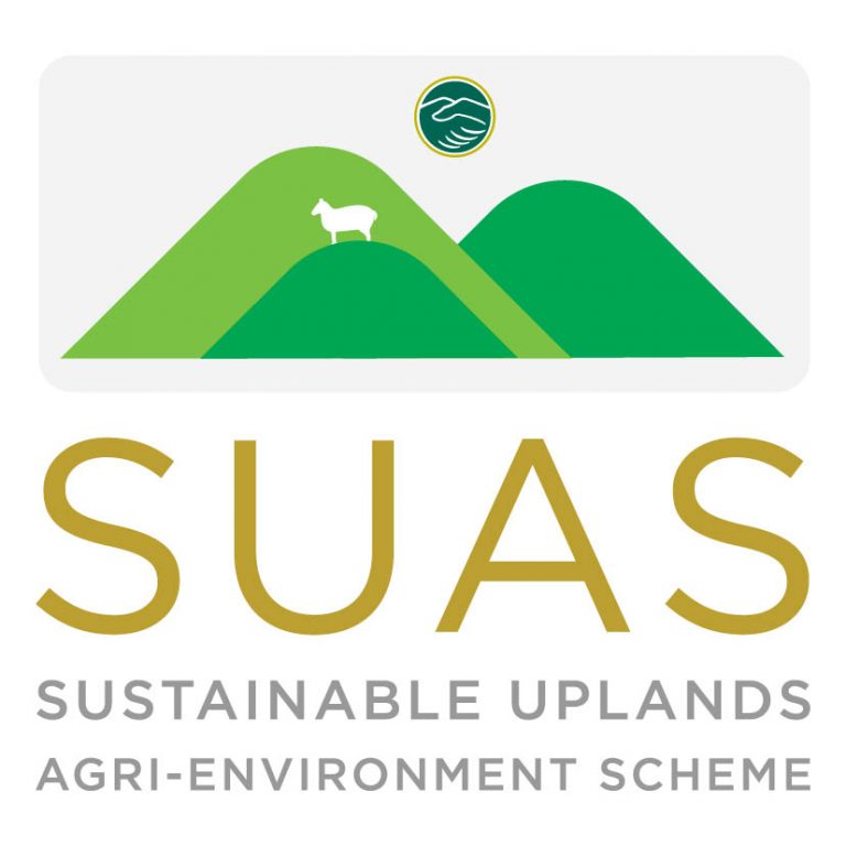 SUAS Project - Wicklow Uplands