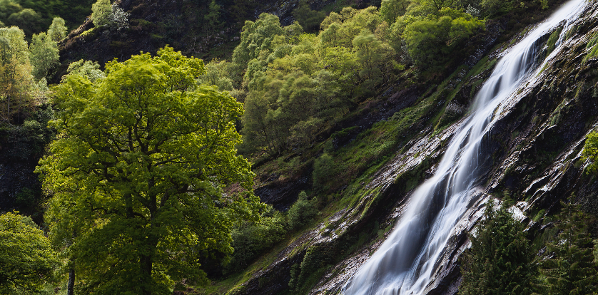 Guided Walk of Glenasmole Valley - Wicklow Uplands