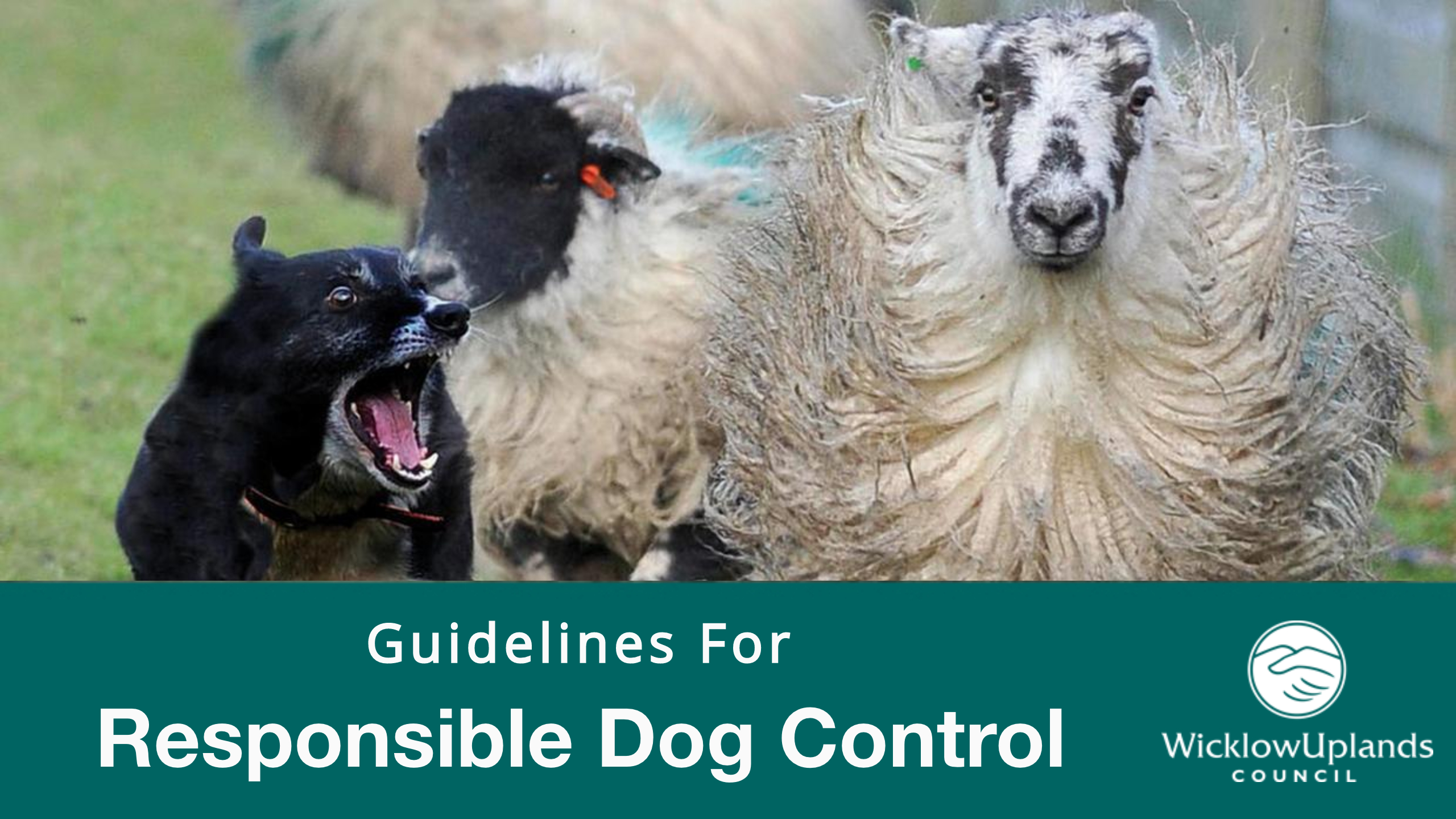 Dog-Control-Guidelines-Pic.1_16x9 - Wicklow Uplands