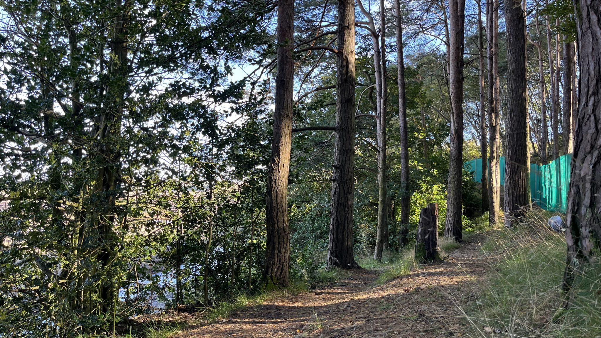Roundwood Reservoir Upper Vartry Trail Reopens - Wicklow Uplands